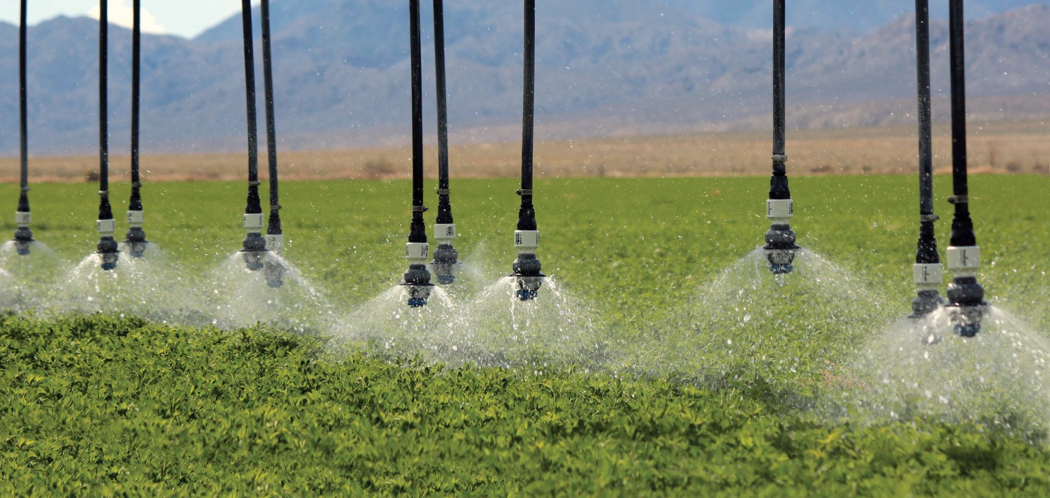 Aspersores Senninger ® - Produtividade Irrigação e Máquinas Agrícolas